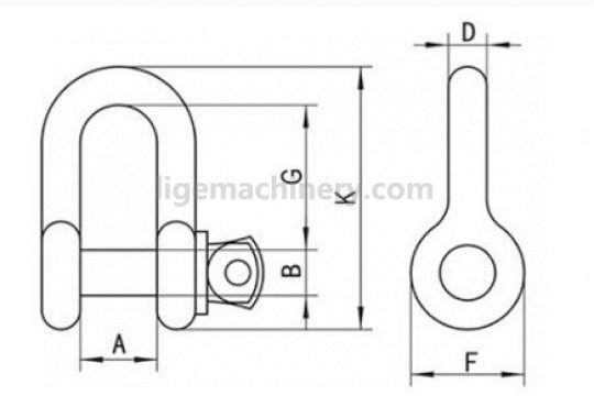 Stainless Steel US Type Dee Shackle G210|Qingdao Lige Machinery Co.,Ltd
